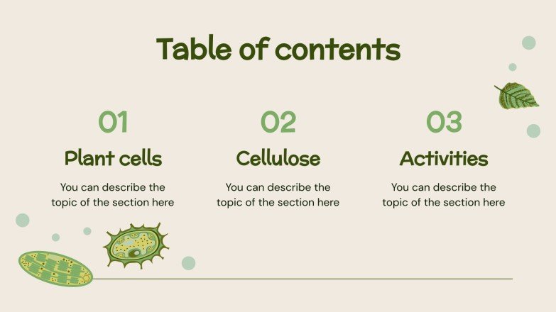 Biology Subject for Middle School: Plant Cells