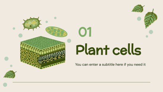 Biology Subject for Middle School: Plant Cells