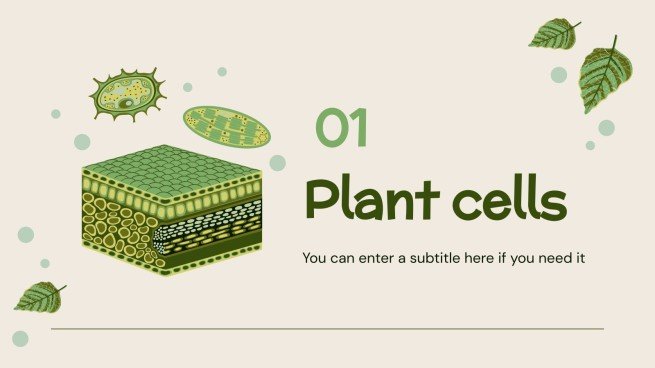 Biology Subject for Middle School: Plant Cells