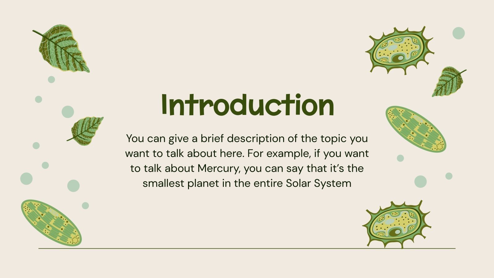 Biology Subject for Middle School: Plant Cells