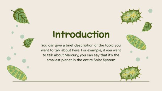 Biology Subject for Middle School: Plant Cells