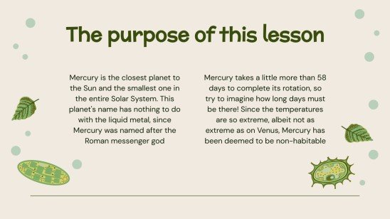 Biology Subject for Middle School: Plant Cells