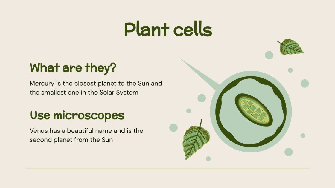 Biology Subject for Middle School: Plant Cells