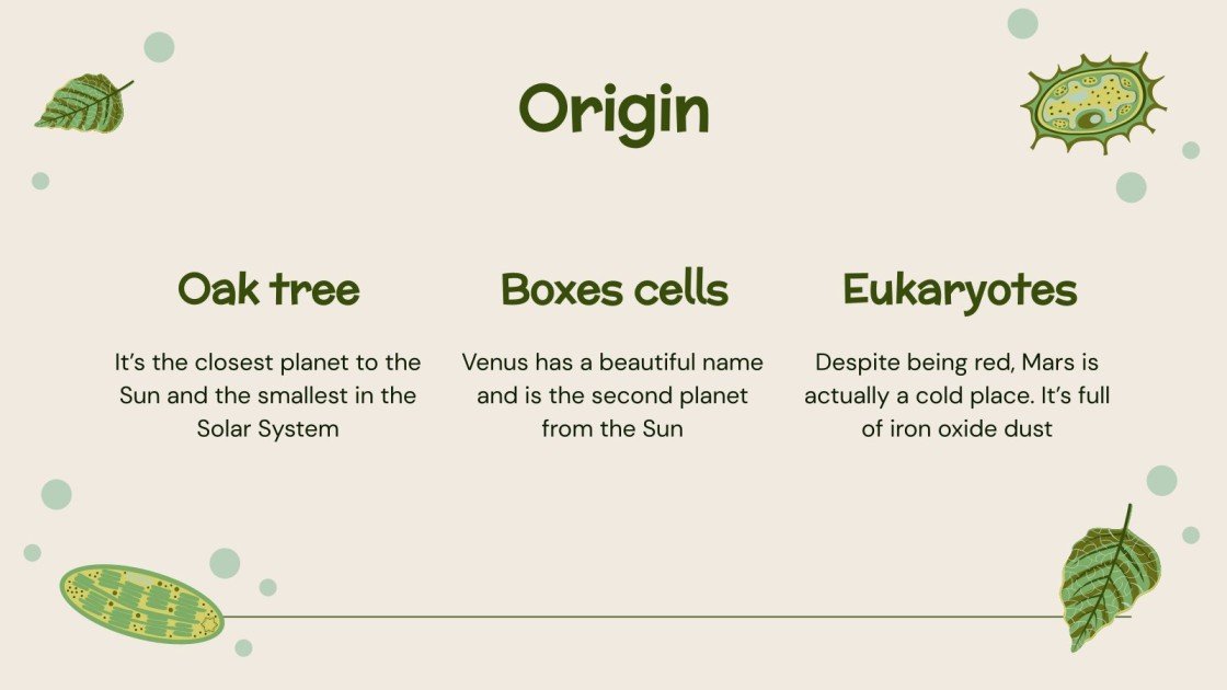 Biology Subject for Middle School: Plant Cells