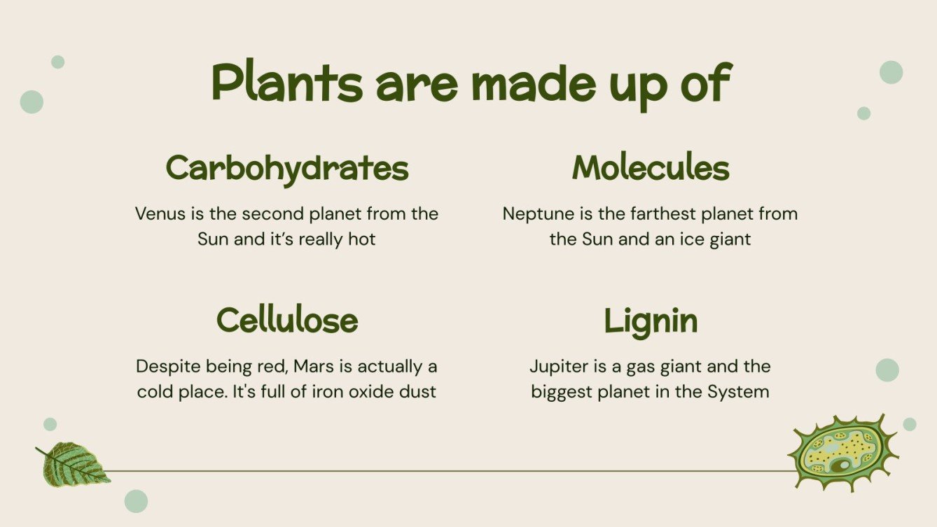 Biology Subject for Middle School: Plant Cells