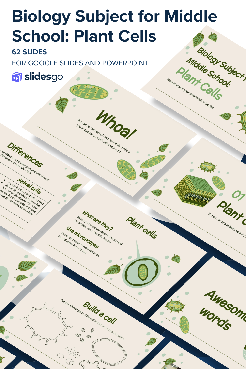 Biology Subject for Middle School: Plant Cells