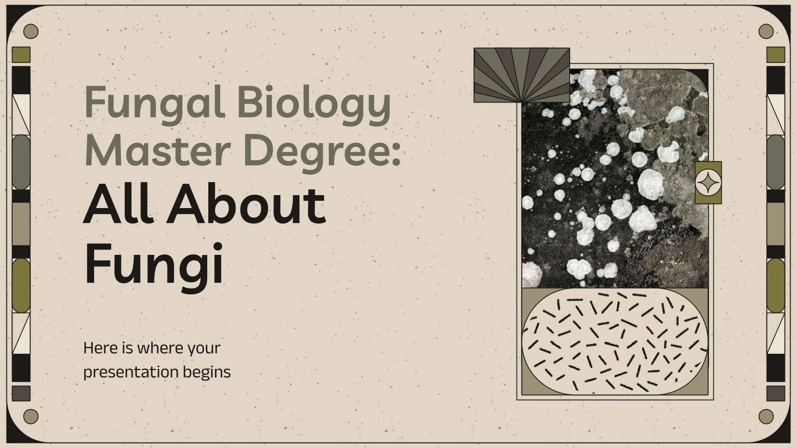 Fungal Biology Master Degree | Google Slides & PPT