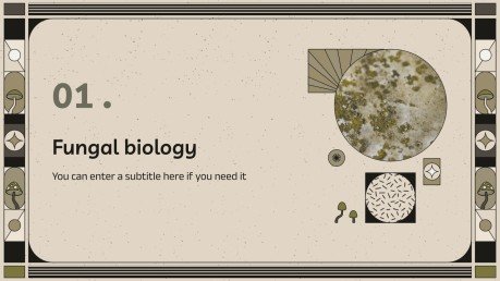 Fungal Biology Master Degree | Google Slides & PPT