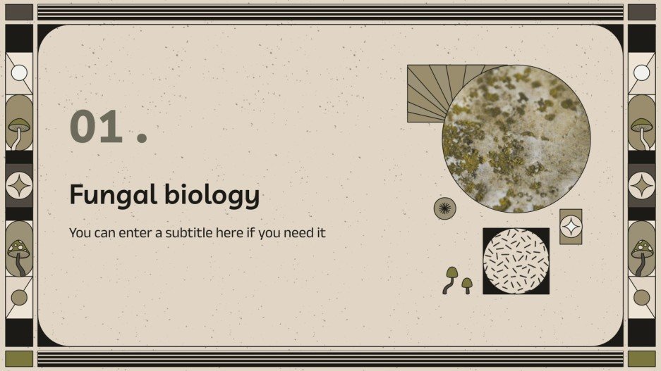Fungal Biology Master Degree | Google Slides & PPT