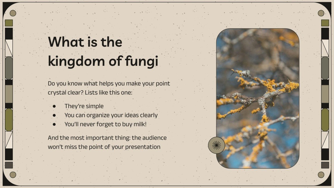Fungal Biology Master Degree | Google Slides & PPT