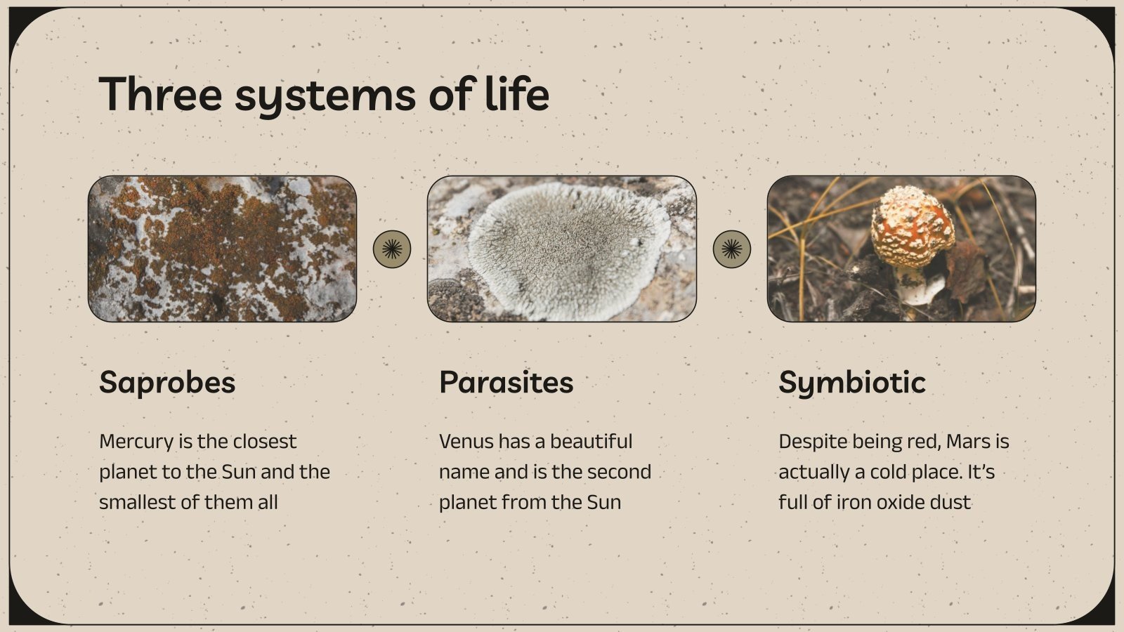 Fungal Biology Master Degree | Google Slides & PPT