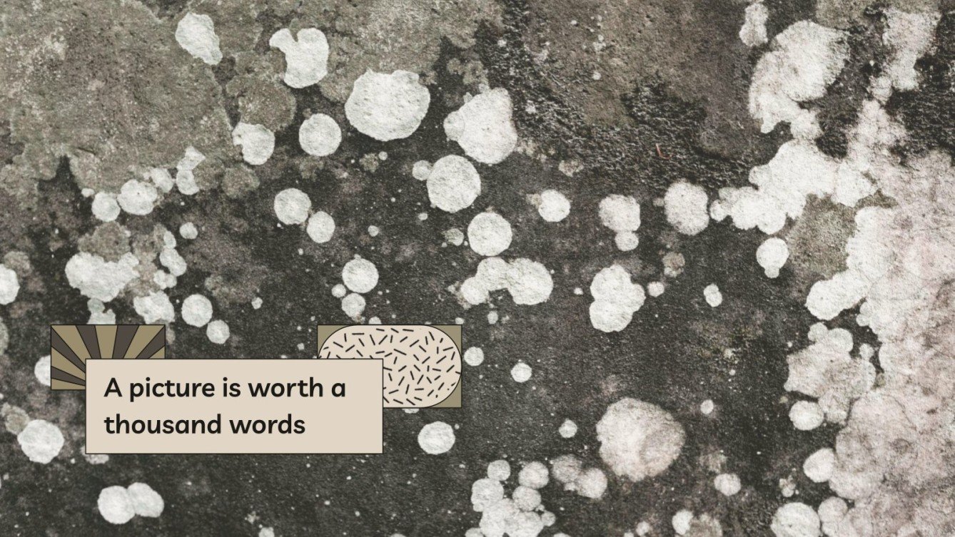 Fungal Biology Master Degree | Google Slides & PPT