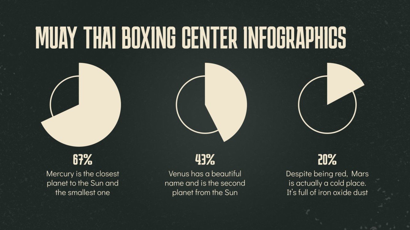 Muay Thai Boxing Center Infographics