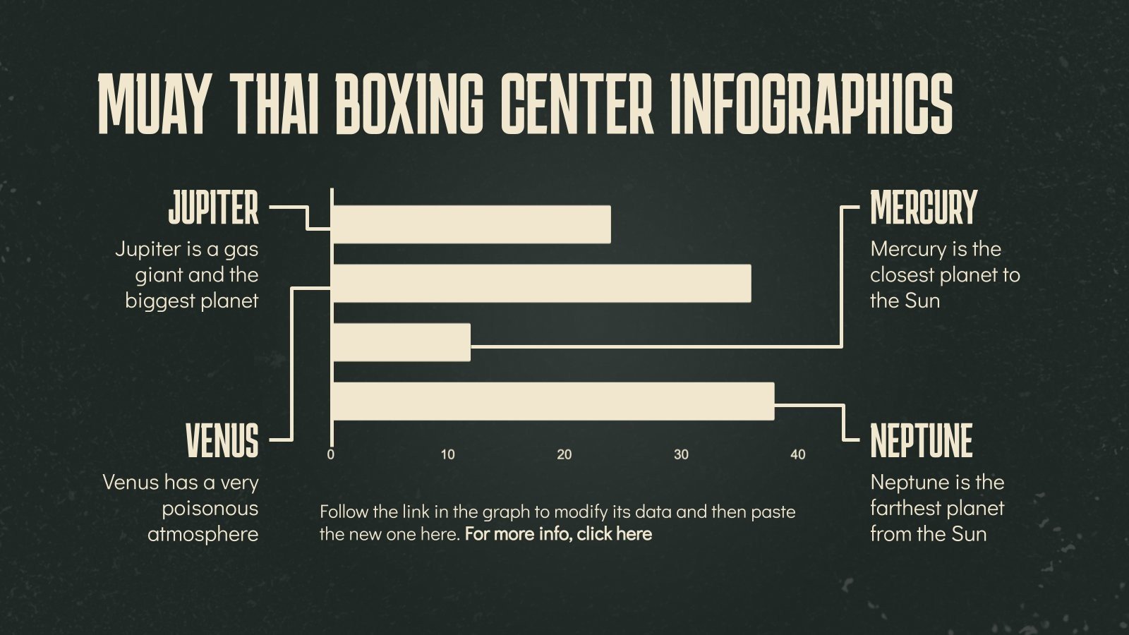 Muay Thai Boxing Center Infographics