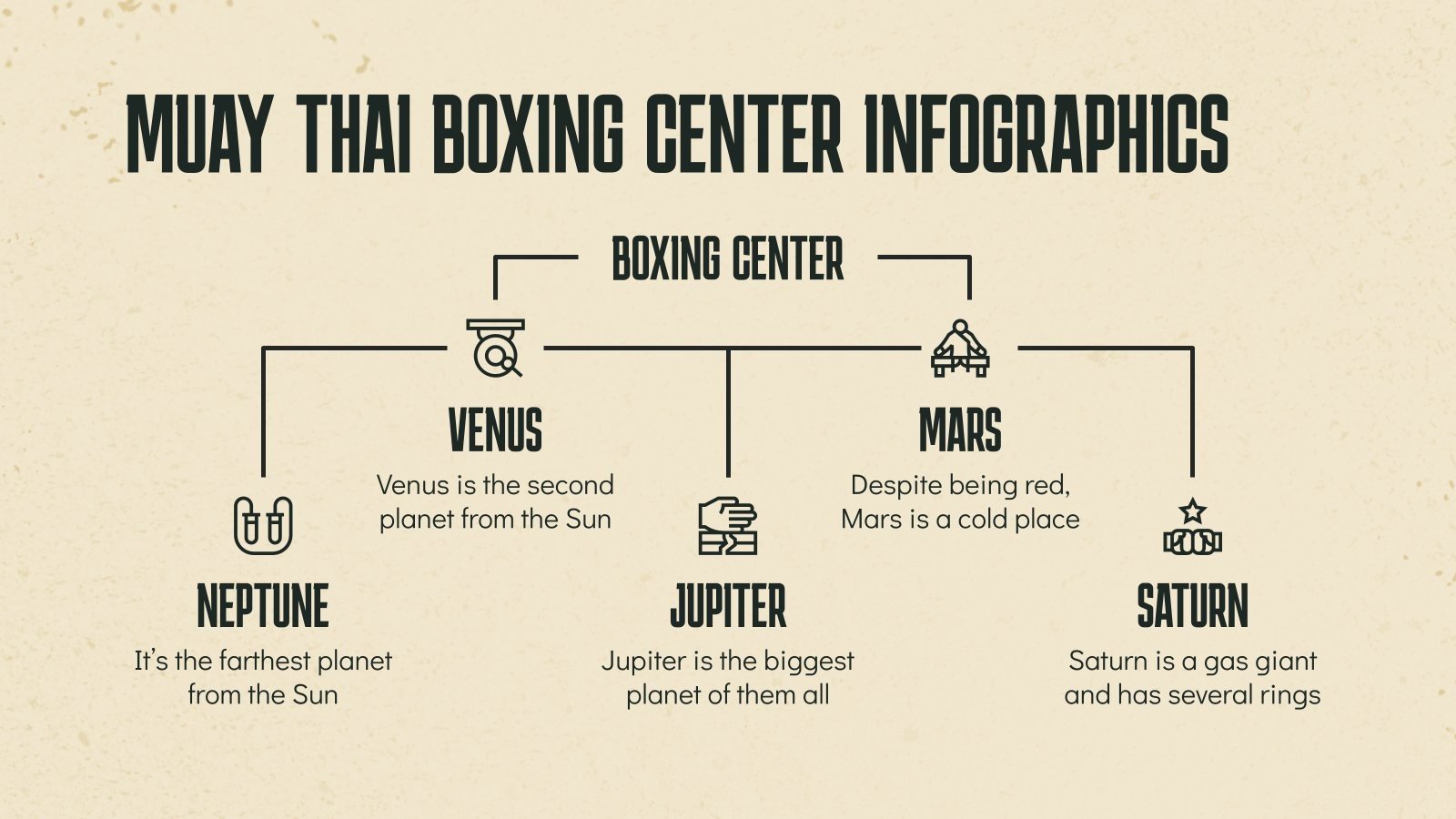 Muay Thai Boxing Center Infographics
