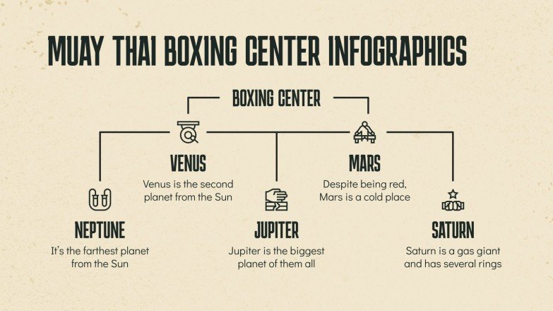 Muay Thai Boxing Center Infographics