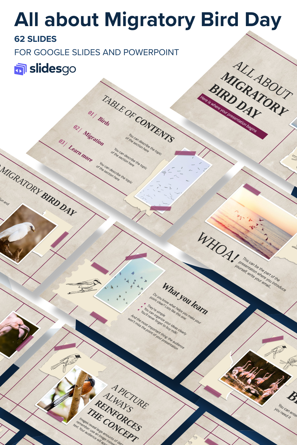 All about Migratory Bird Day | Google Slides & PowerPoint