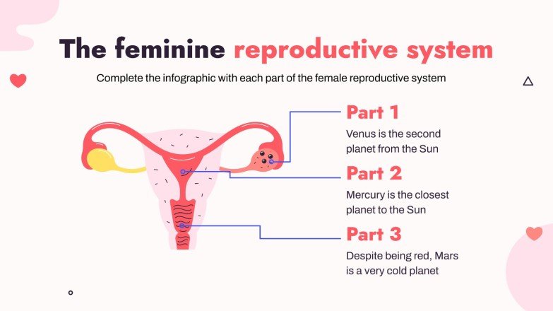 Human Sexuality Lesson for High School