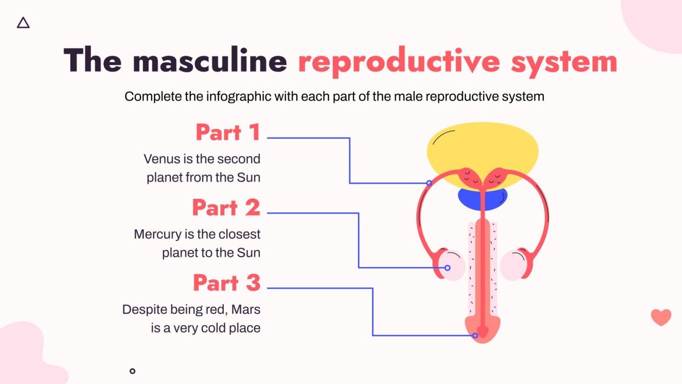 Human Sexuality Lesson for High School