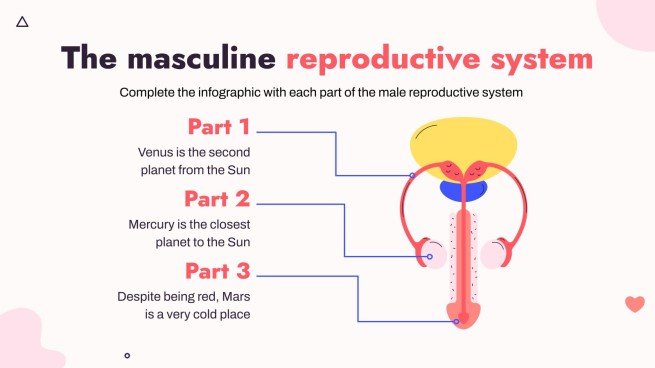 Human Sexuality Lesson for High School