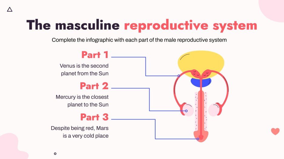 Human Sexuality Lesson for High School