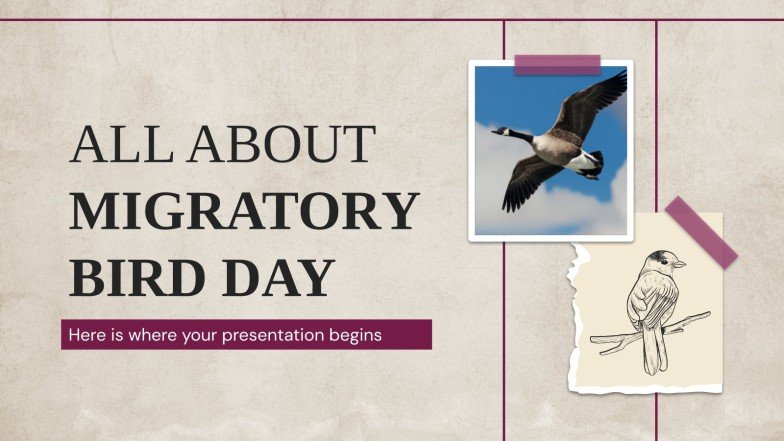 All about Migratory Bird Day | Google Slides & PowerPoint