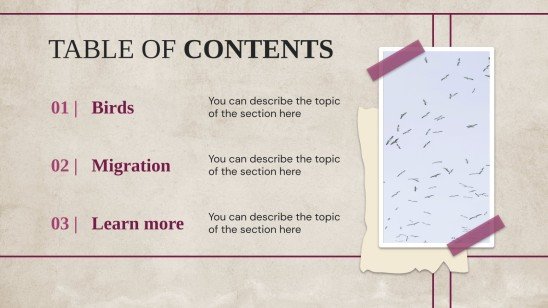 All about Migratory Bird Day | Google Slides & PowerPoint