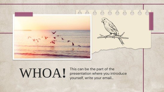 All about Migratory Bird Day | Google Slides & PowerPoint