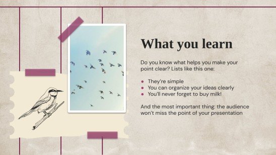 All about Migratory Bird Day | Google Slides & PowerPoint