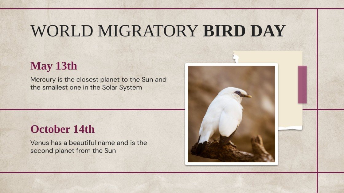 All About Migratory Bird Day Google Slides PowerPoint all-about-migratory-bird-day-google-slides-powerpoint