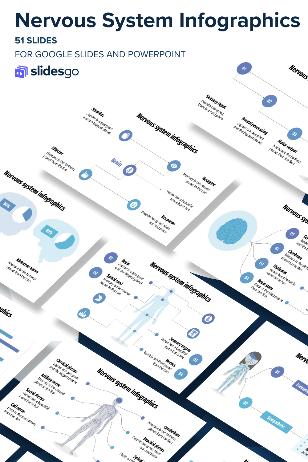 Nervous System Infographics | Google Slides & PowerPoint