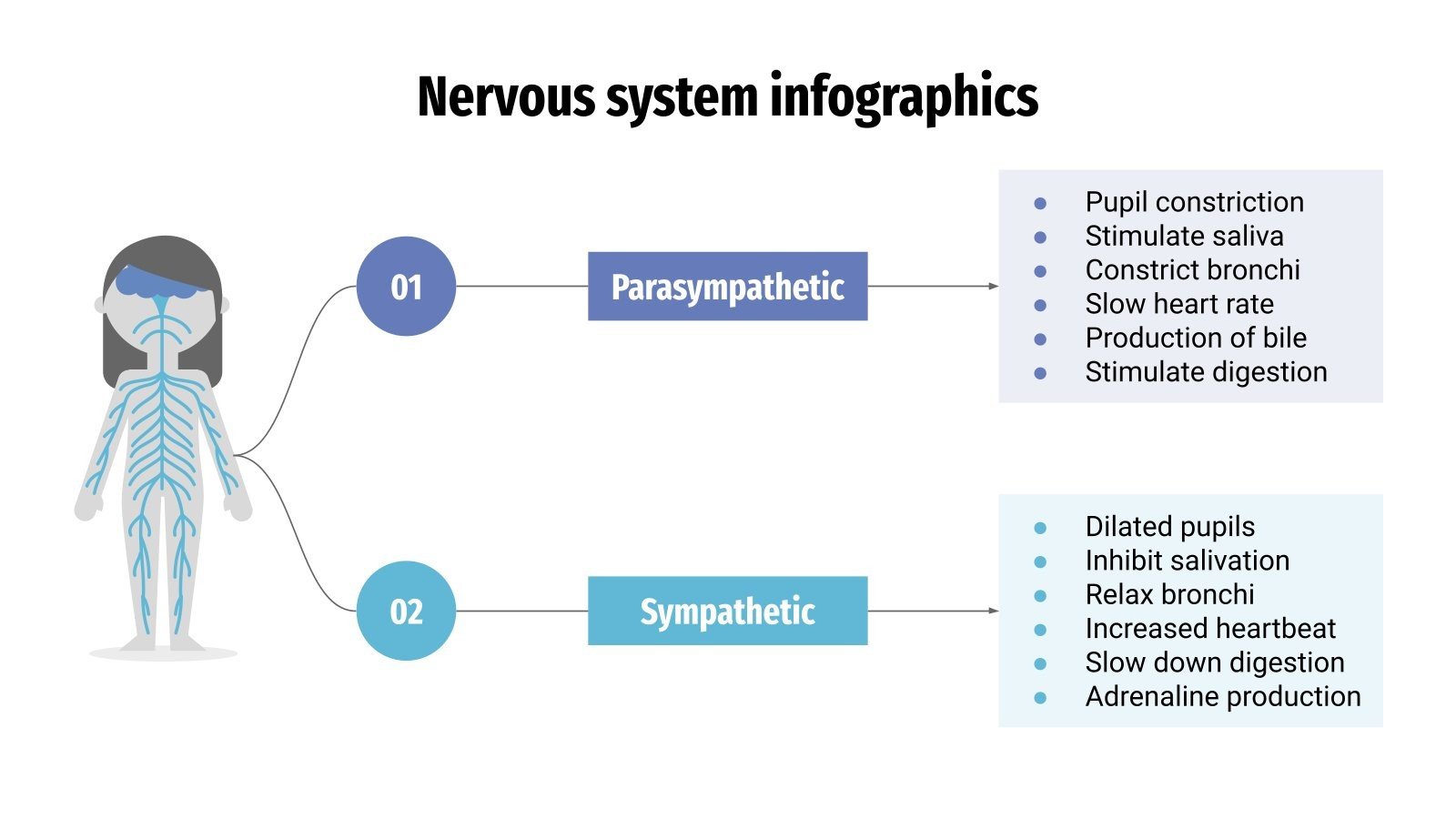 Nervous System Infographics | Google Slides & PowerPoint
