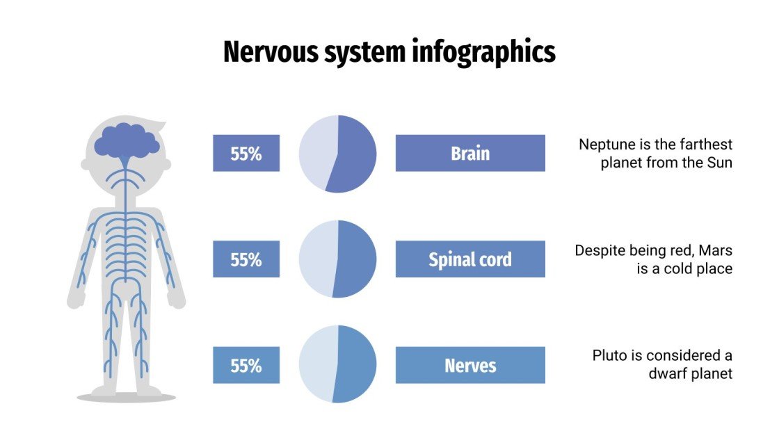 Nervous System Infographics | Google Slides & PowerPoint