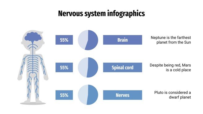 Nervous System Infographics | Google Slides & PowerPoint