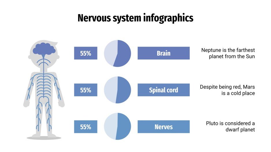 Nervous System Infographics | Google Slides & PowerPoint