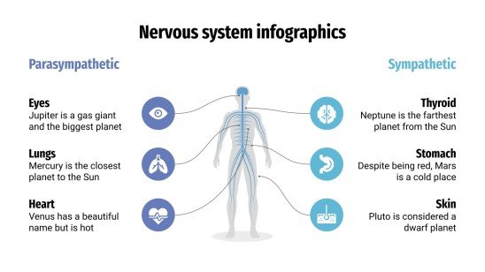 Nervous System Infographics | Google Slides & PowerPoint