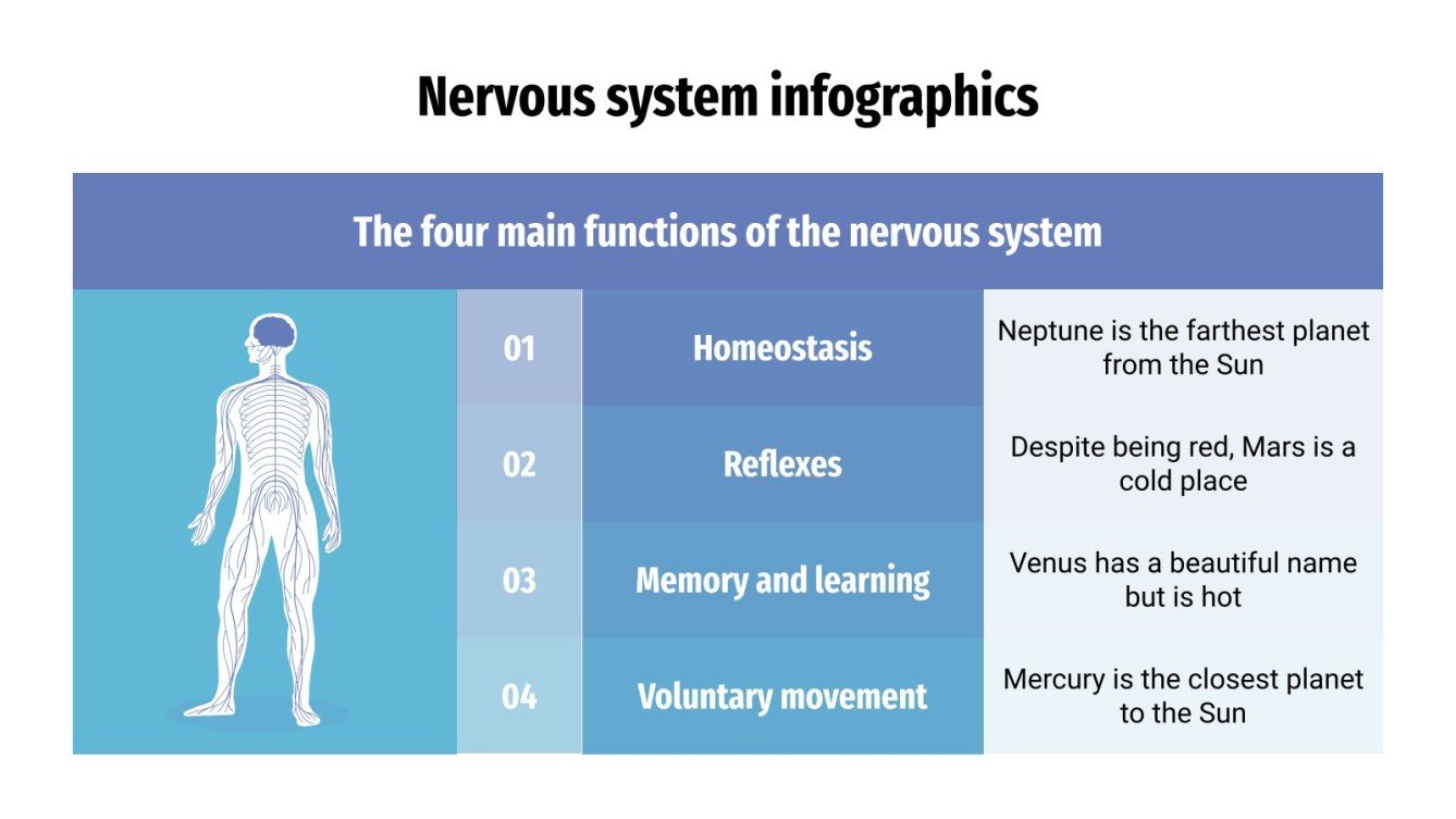 Nervous System Infographics | Google Slides & PowerPoint