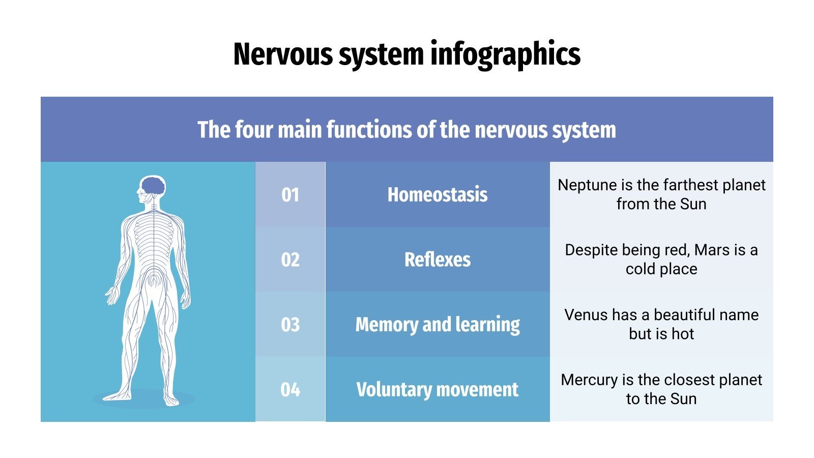 Nervous System Infographics | Google Slides & PowerPoint