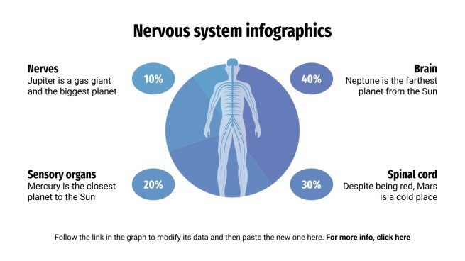 Nervous System Infographics | Google Slides & PowerPoint