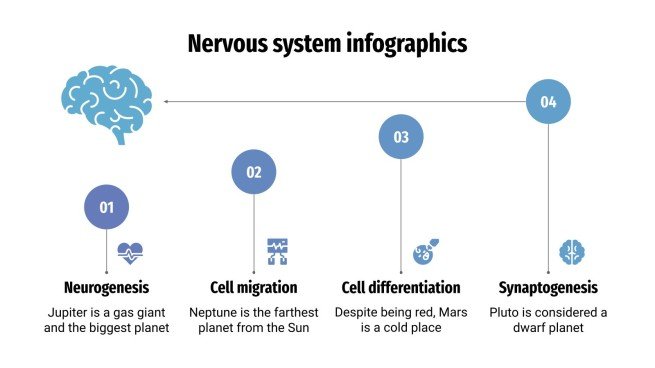 Nervous System Infographics | Google Slides & PowerPoint
