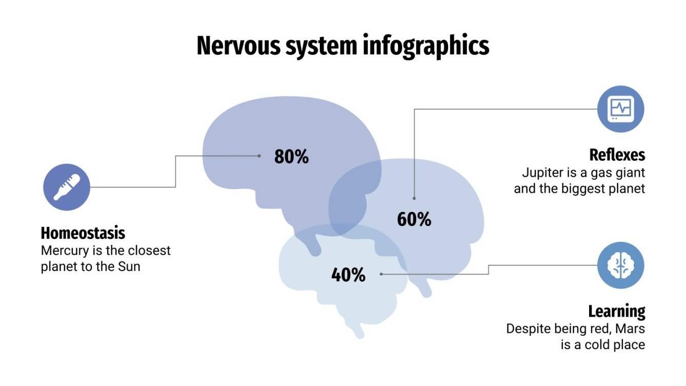 Nervous System Infographics | Google Slides & PowerPoint