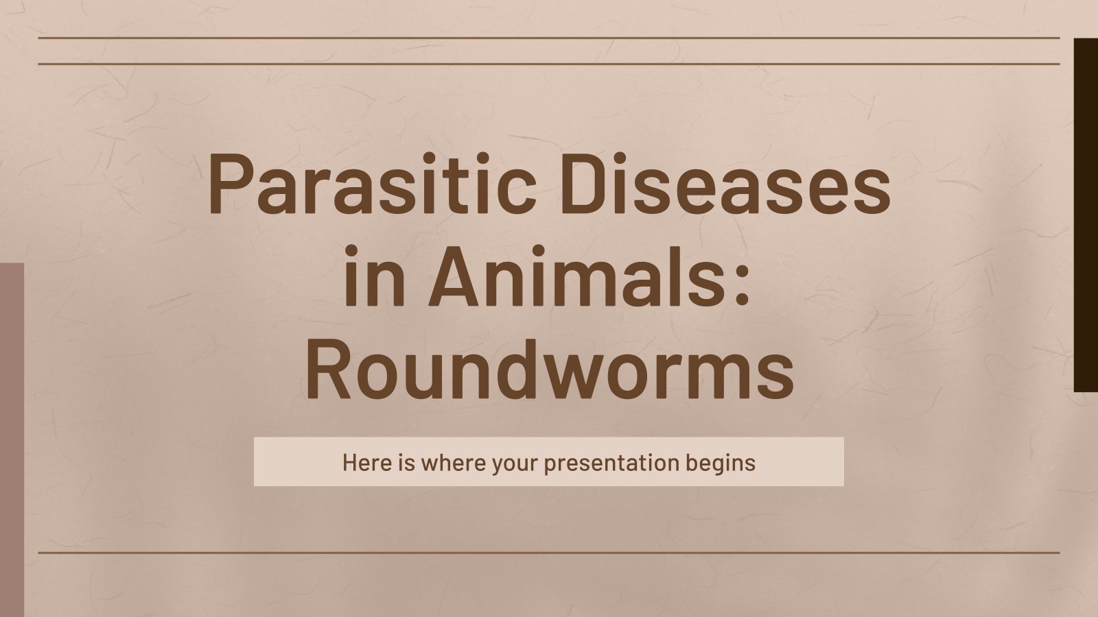 Parasitic Diseases in Animals: Roundworms | Google Slides