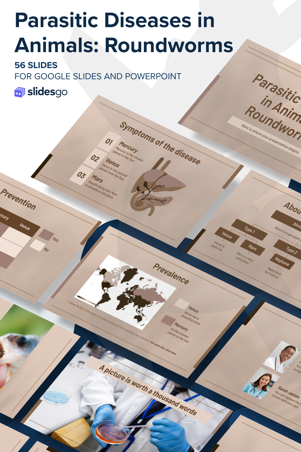 Parasitic Diseases in Animals: Roundworms | Google Slides