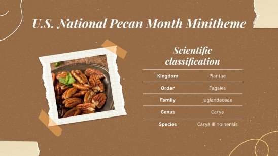 U.S. National Pecan Month Minitheme | Google Slides & PPT