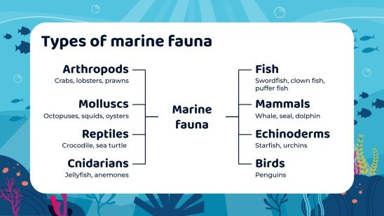 Animales del mar | Plantilla de Google Slides y PowerPoint