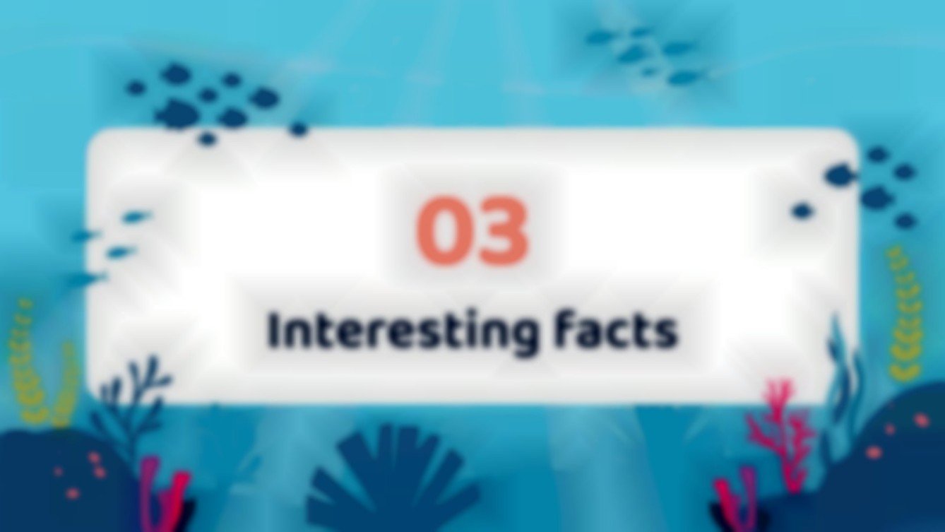 Animales del mar | Plantilla de Google Slides y PowerPoint