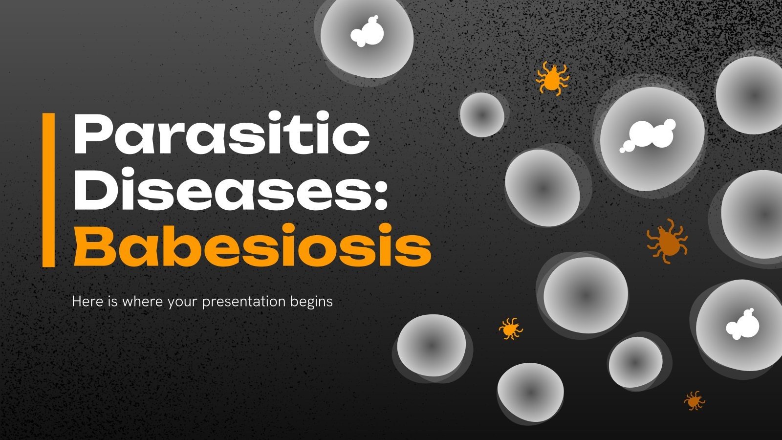 Parasitic Diseases: Babesiosis | Google Slides & PowerPoint