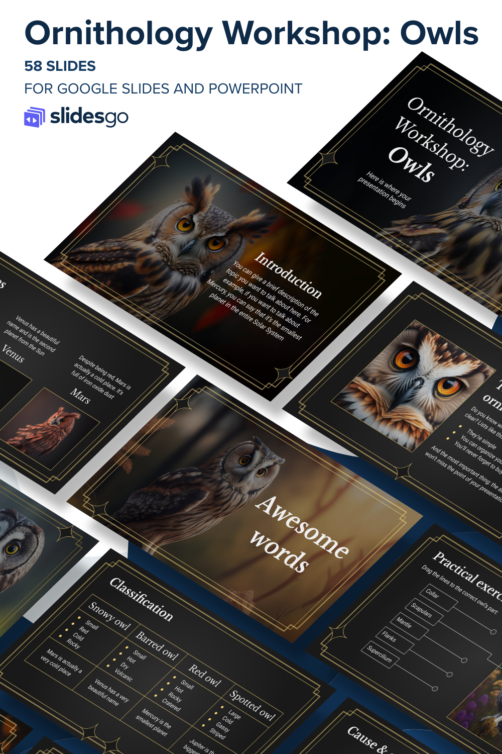 Ornithology Workshop: Owls