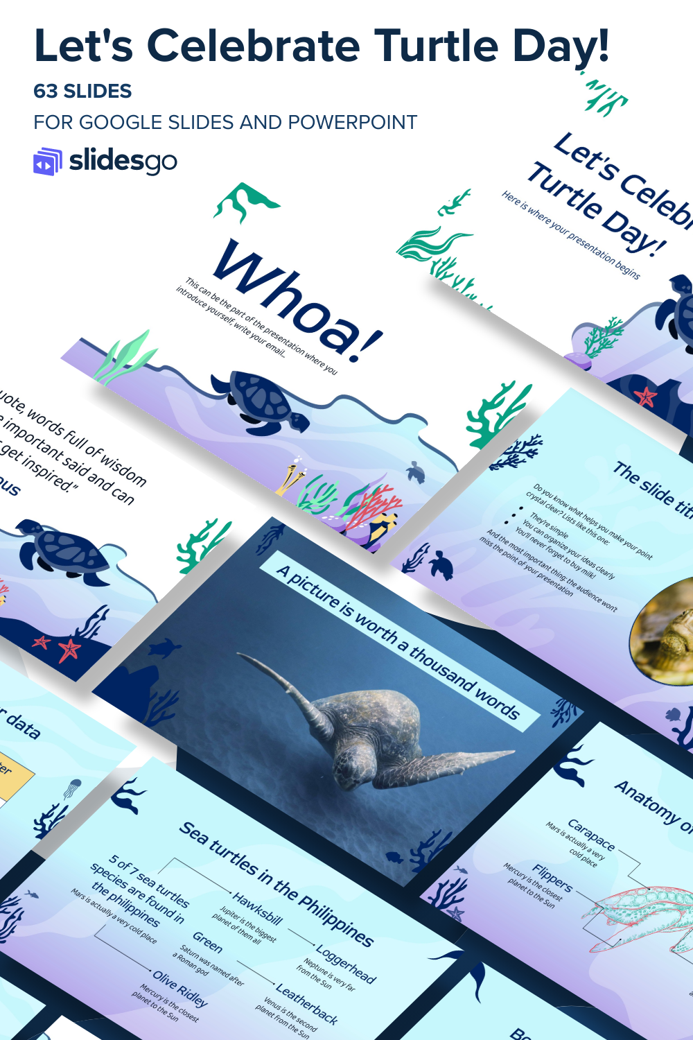 Let's Celebrate Turtle Day! | Google Slides & PowerPoint