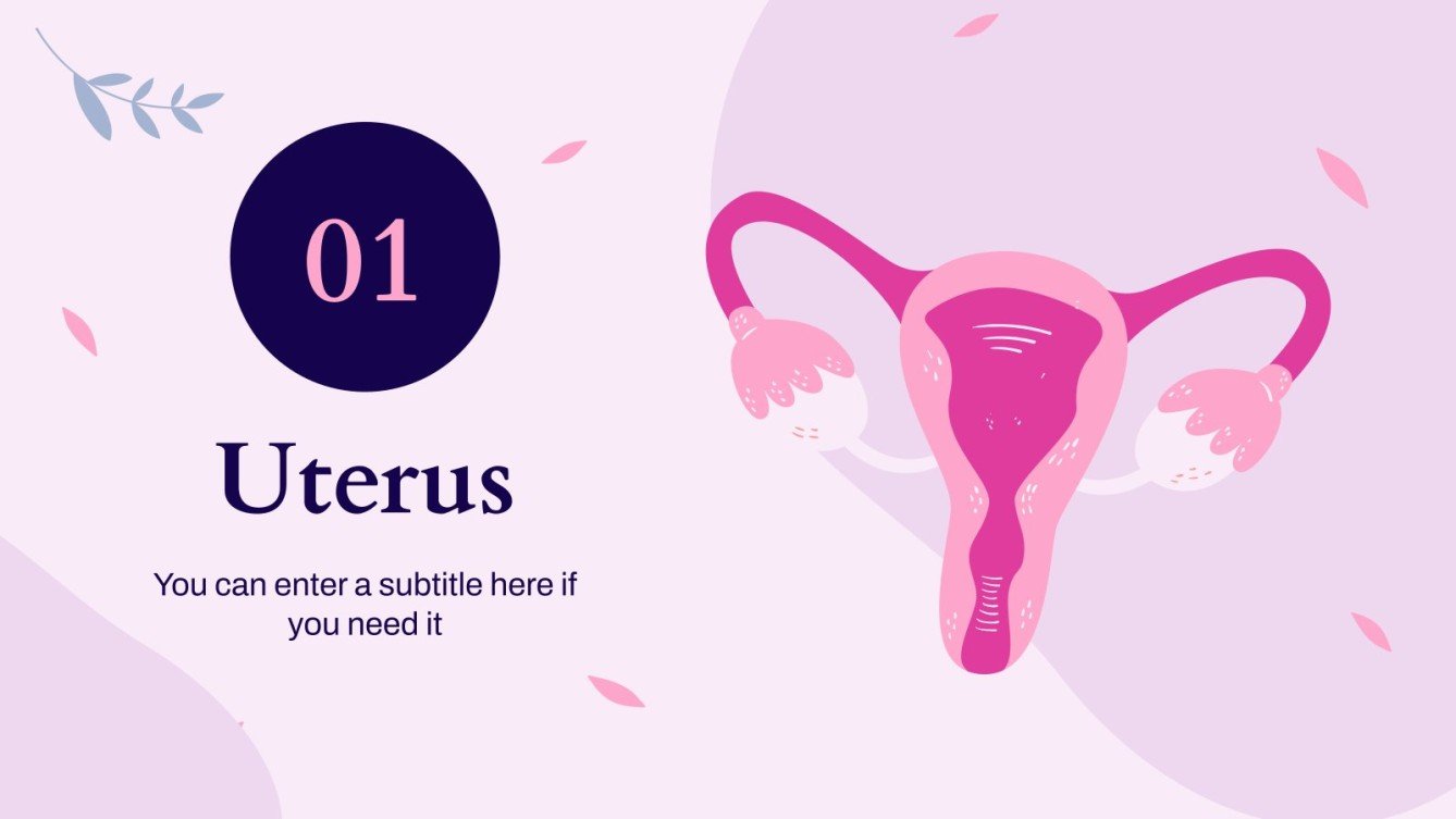 Uterus Medical Anatomy Lesson | Google Slides & PowerPoint